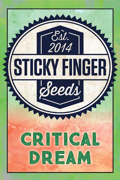 Strains – Sticky Finger Seeds